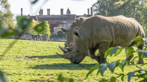 Marwell Zoo – Diamond Adventures